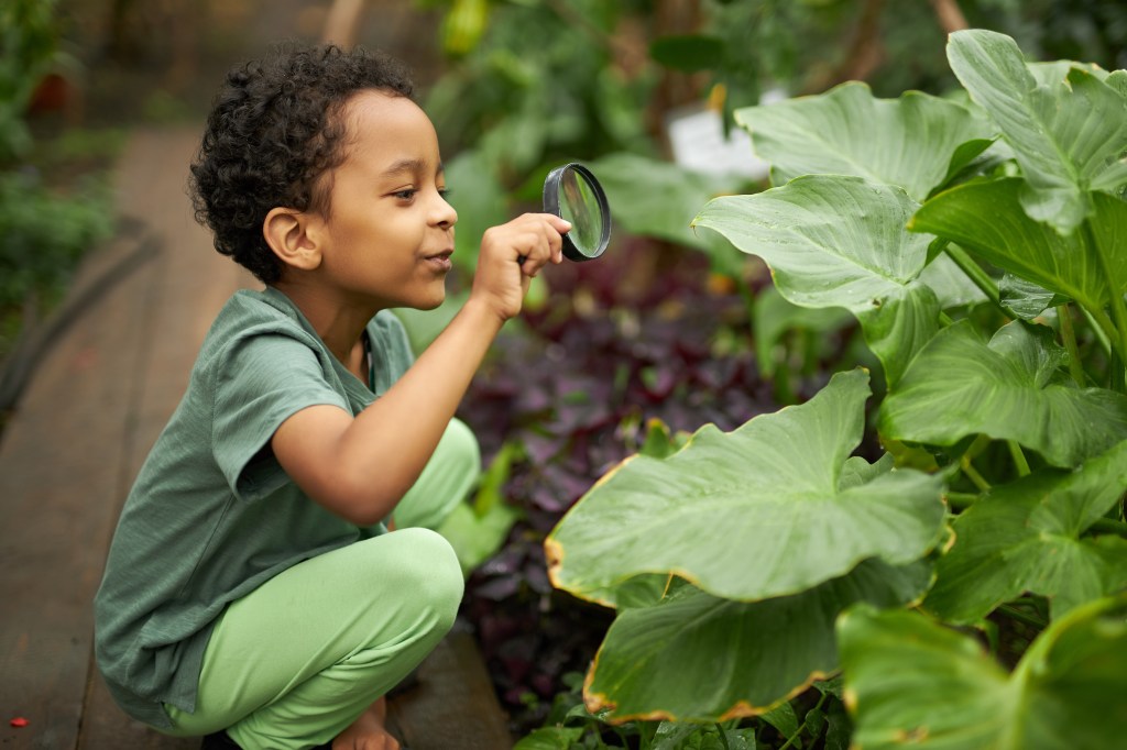 7 Arizona adventures perfect for kids and parents