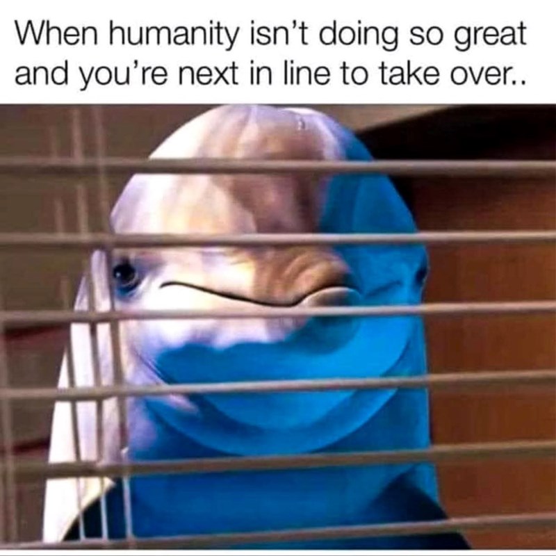 26 wildlife memes full of feral fabulousness and wilderness wisdom