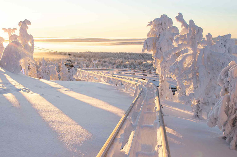 The world's northernmost mountain coaster lets you ride through snow ...