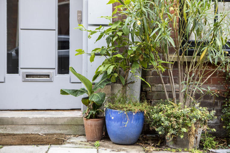 5 front yard features that are always eyesores, according to designers