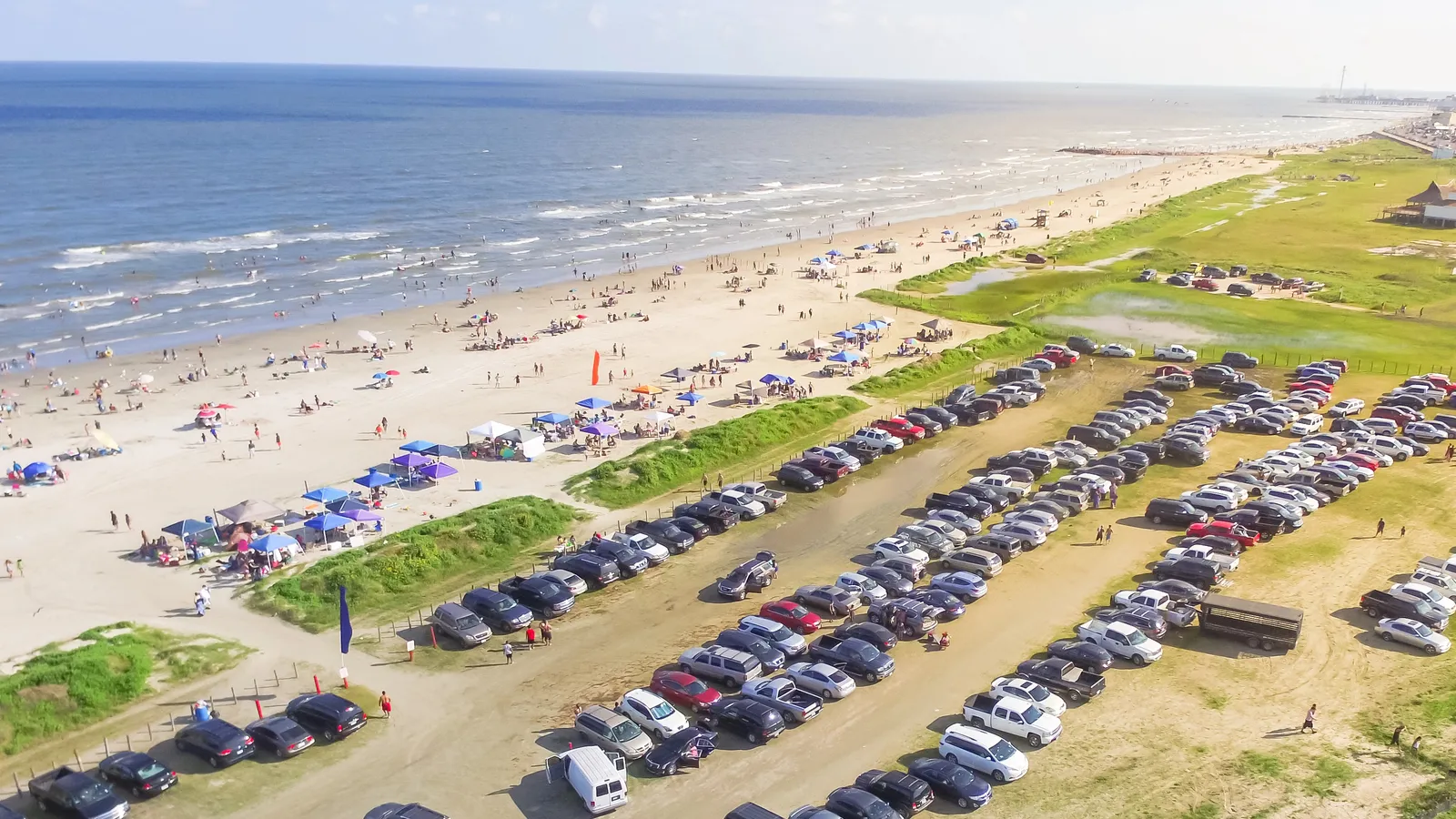 Texas stands by SpaceX after public beach closures for launches spark ...