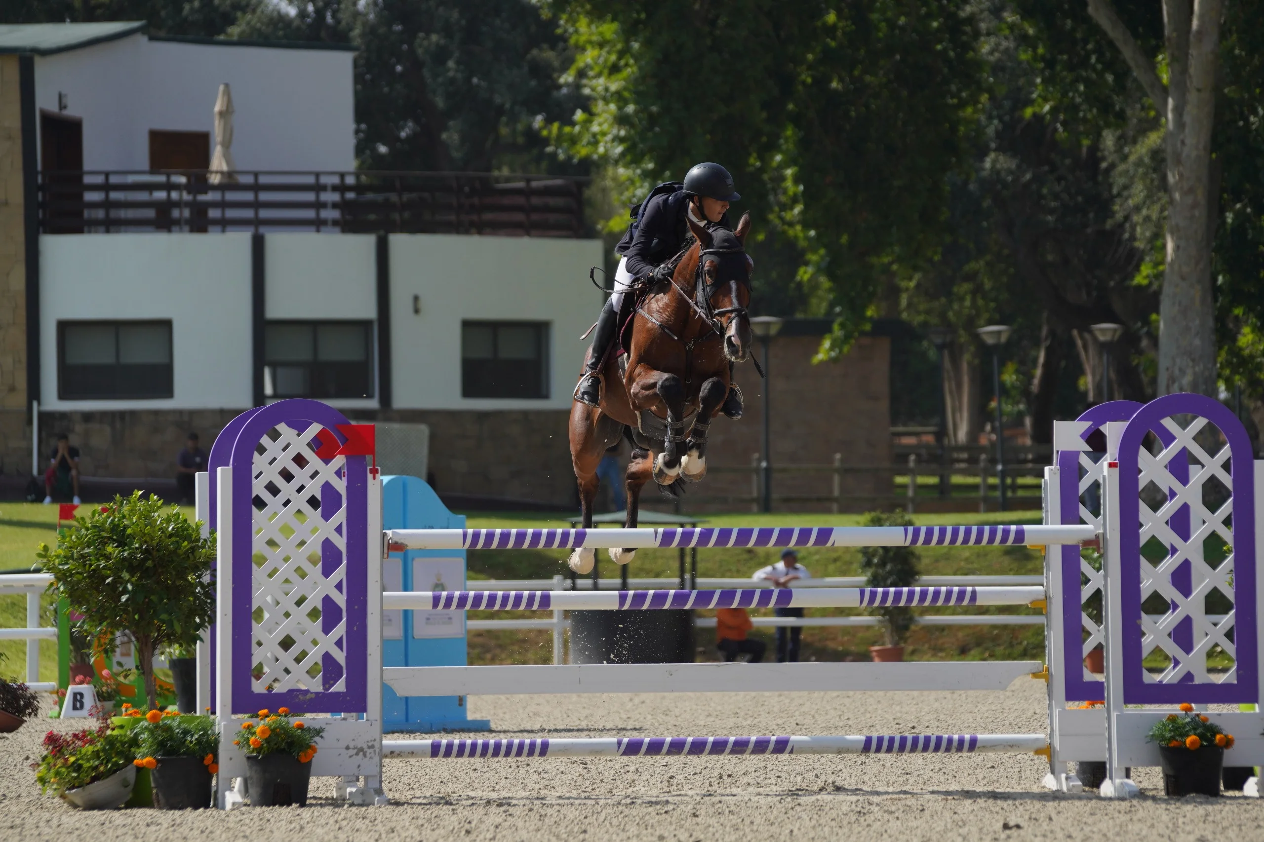 Moroccan rider Nall Zarwal qualifies for 2026 FEI Jumping World ...