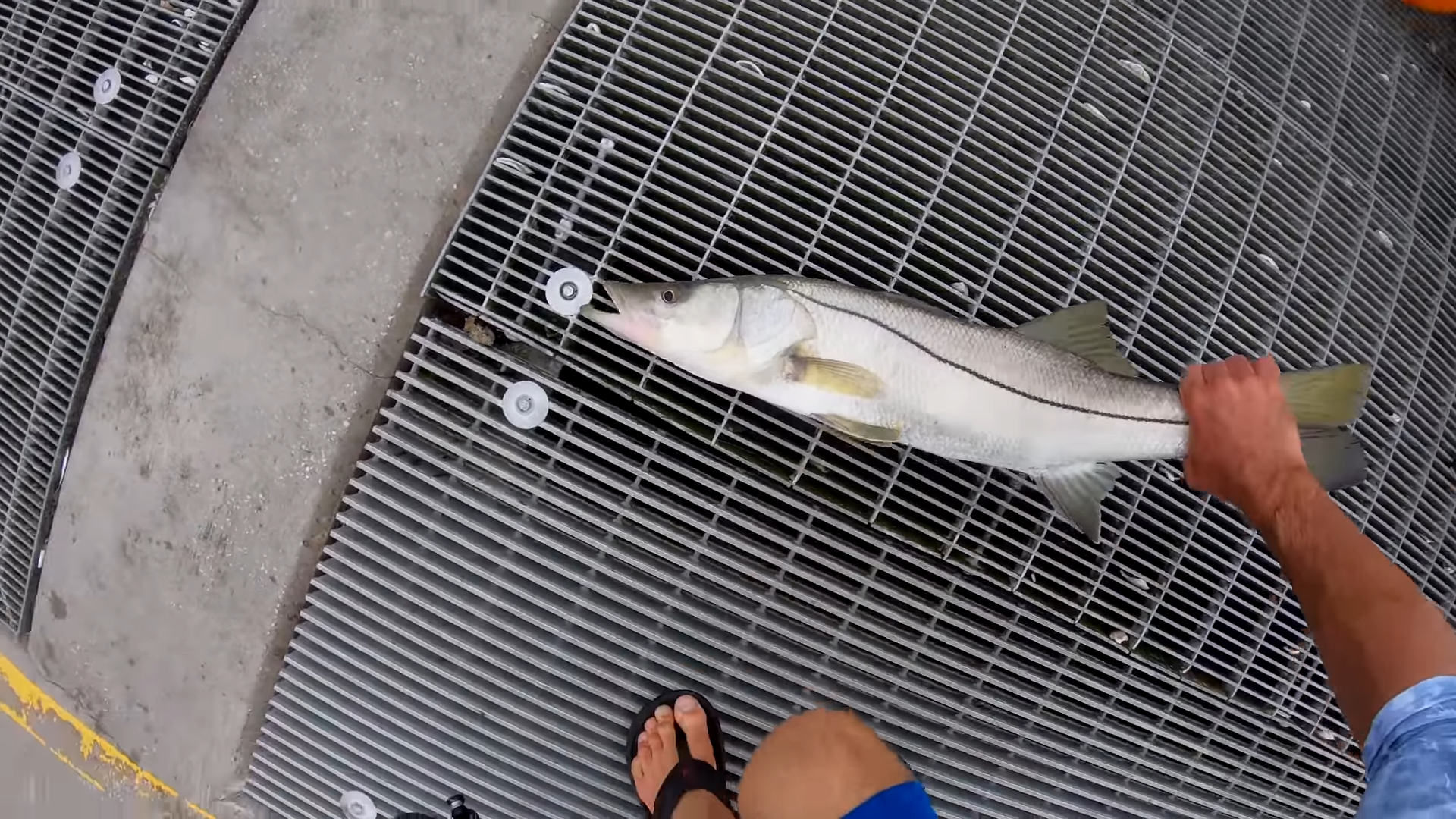This small fishing reel catches big fish