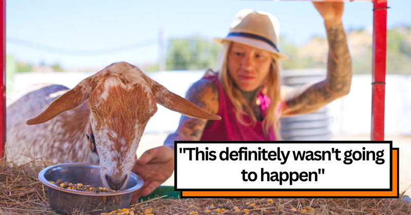 Entitled family demands to buy goats from animal sanctuary while on ...