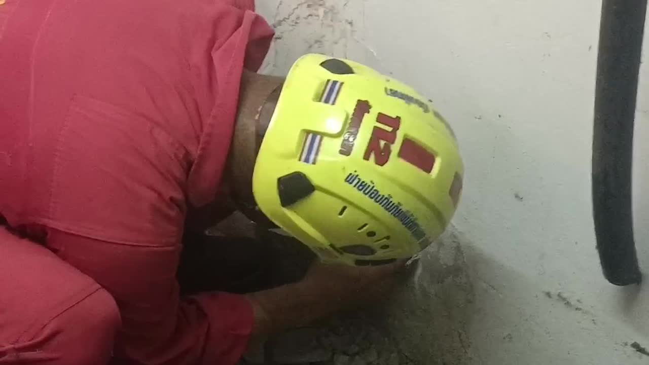 Firefighters breaks wall to save kitten trapped for two days