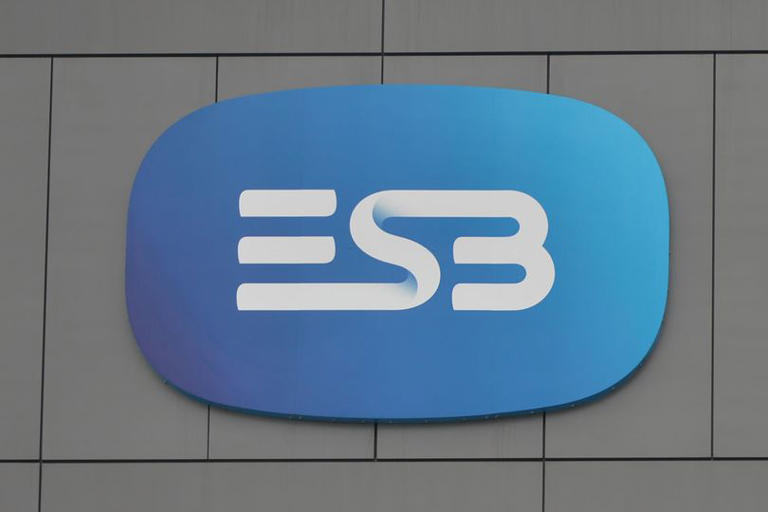 ESB apologises after 'high and incorrect usage figures' appear on smart ...