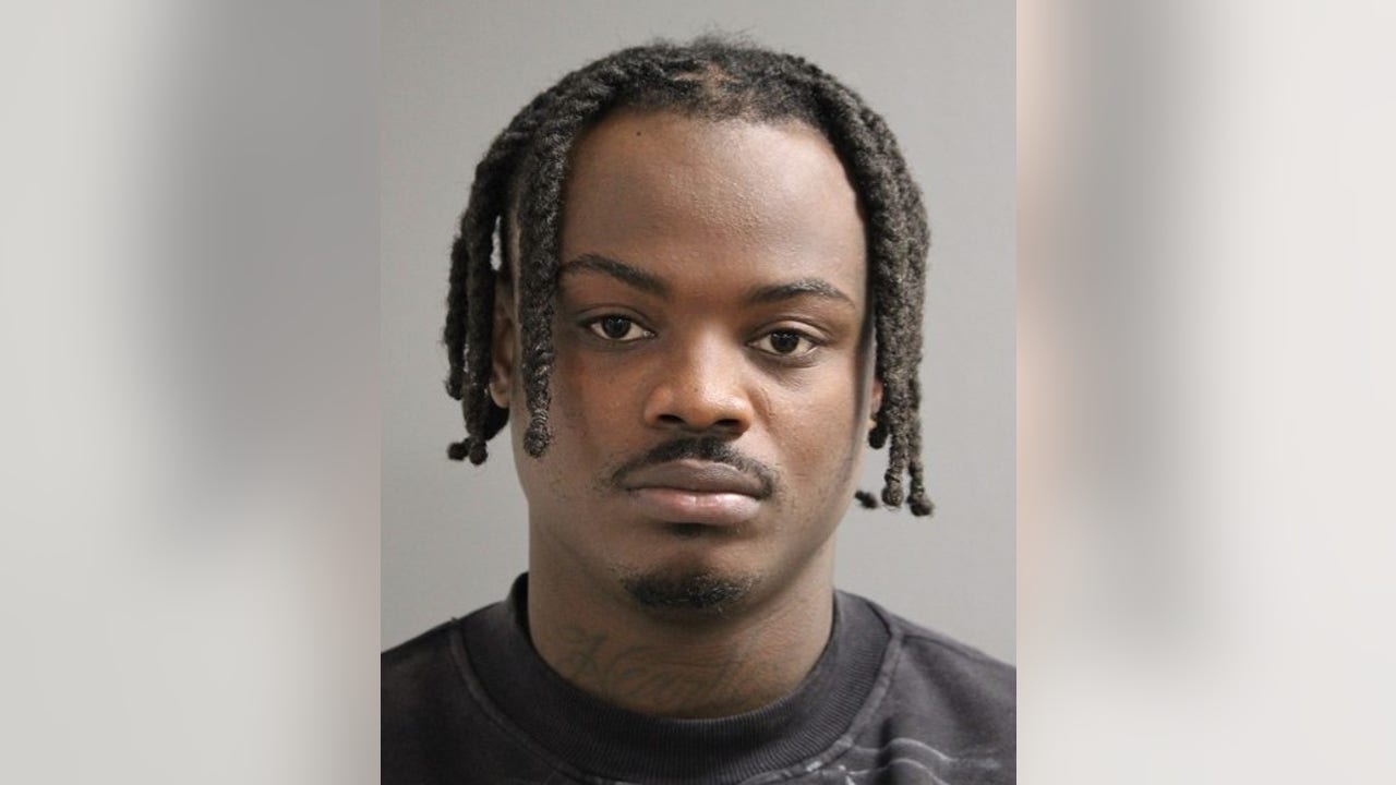 Chicago man charged with trying to force robbery victim into vehicle in ...