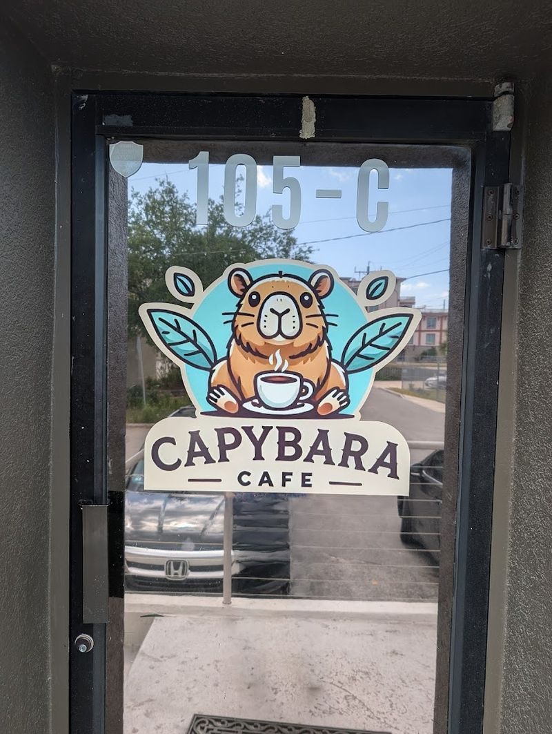 This Florida café lets you hang out with the internet’s favorite animal