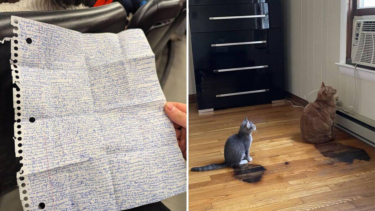 10+ strange photos from life's mundane moments