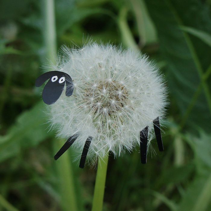 Everyday objects transformed into something else