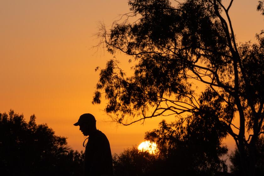 Dangerous heat will scorch Los Angeles this week; here's what it means ...