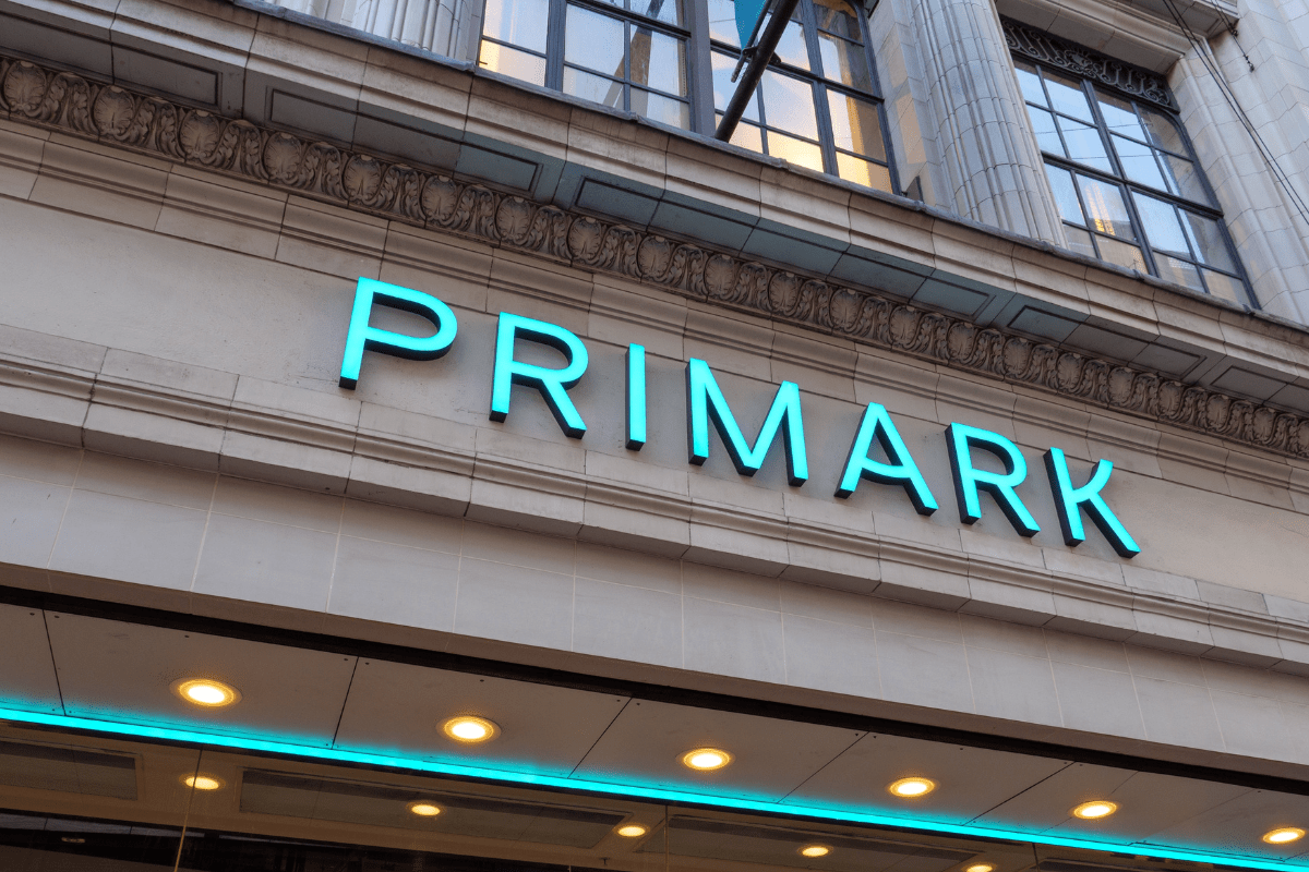 Primark’s £14 embroidered mesh ballet pumps are a breathable ...