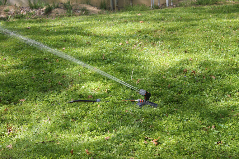The best lawn sprinklers of 2026, tested and reviewed