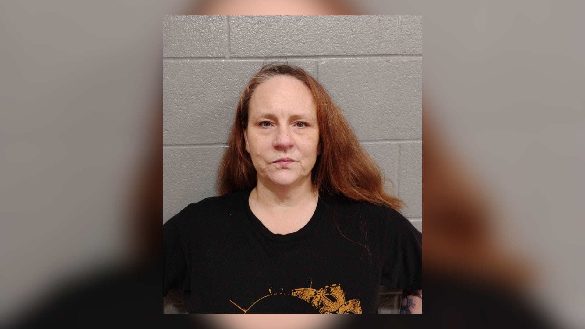 Cub Run woman charged with public intoxication, drug possession after ...