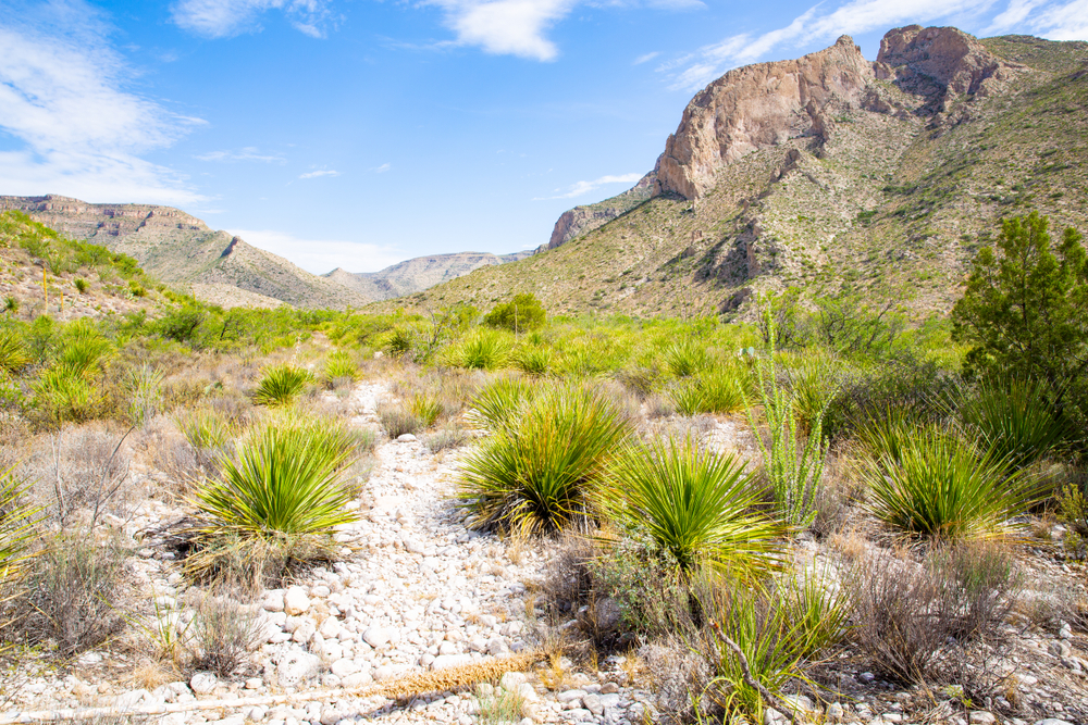 17 family-friendly cave, canyon, and rock formation trips with short walks