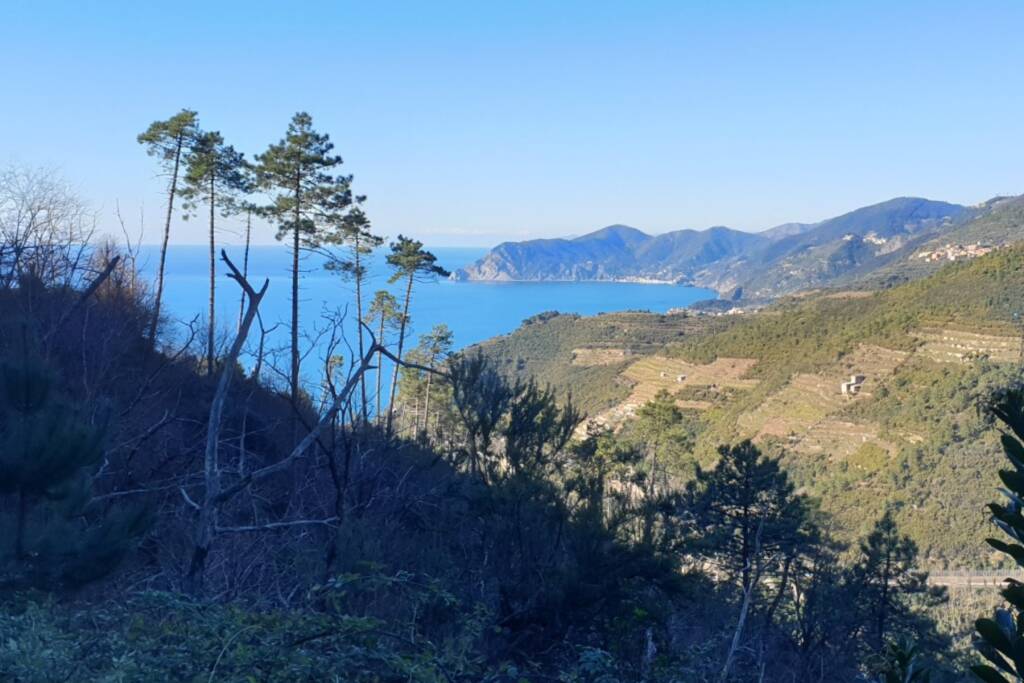 Il mare d’inverno, doppio appuntamento escursionistico tra Cinque Terre ...
