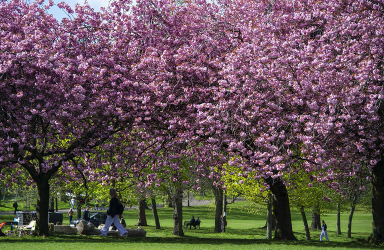 When do the clocks change UK? Here's the exact time clocks go forward ...