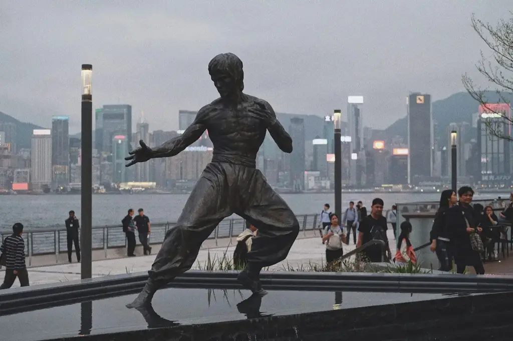 Bruce Lee, filósofo: "No pidas una vida libre de obstáculos, busca la ...