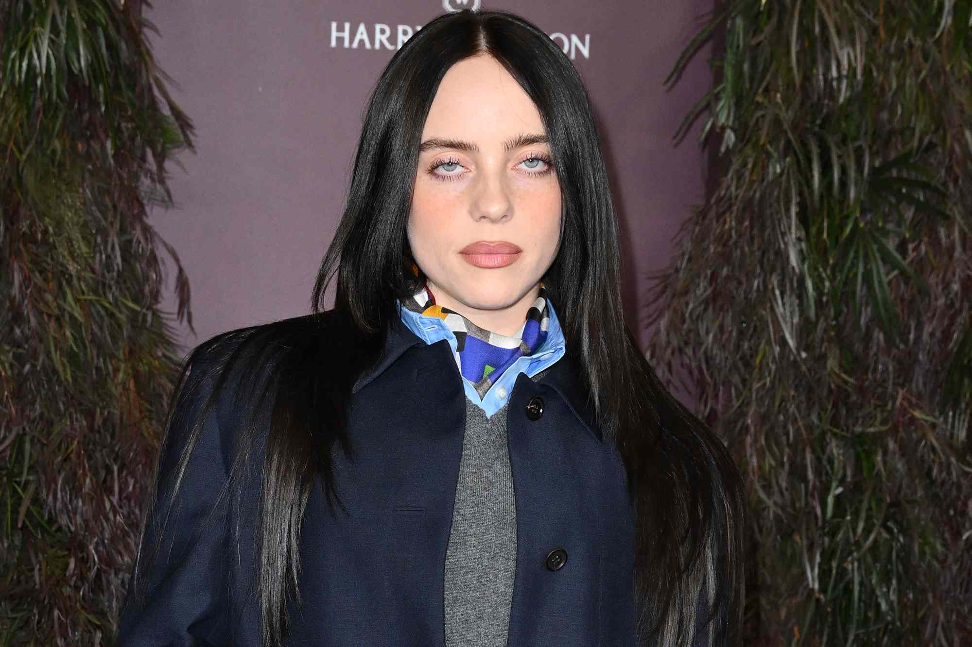 Man accused of stalking Billie Eilish struck and killed by train