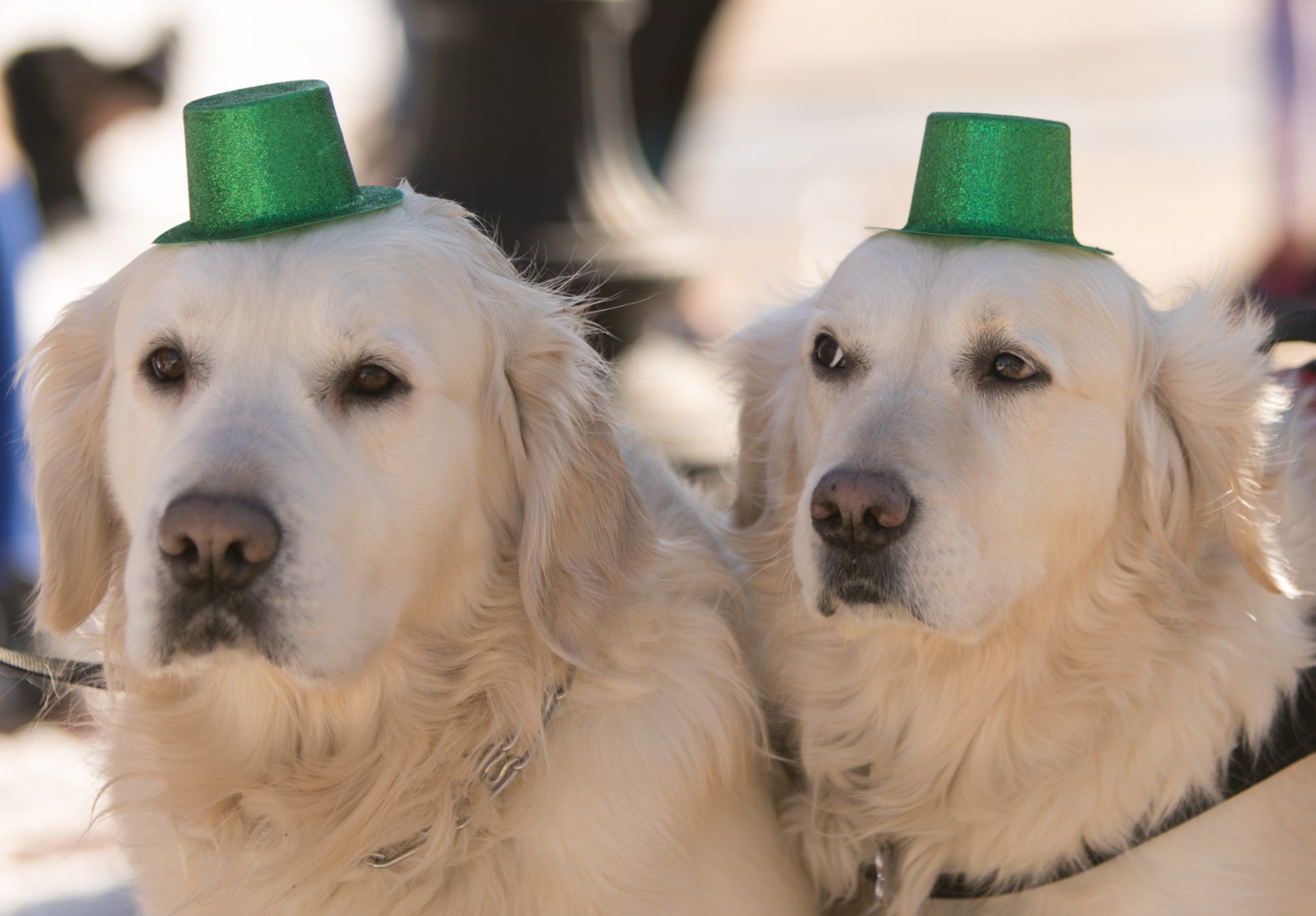 When is St. Patrick's Day in 2026? How to celebrate in Oregon