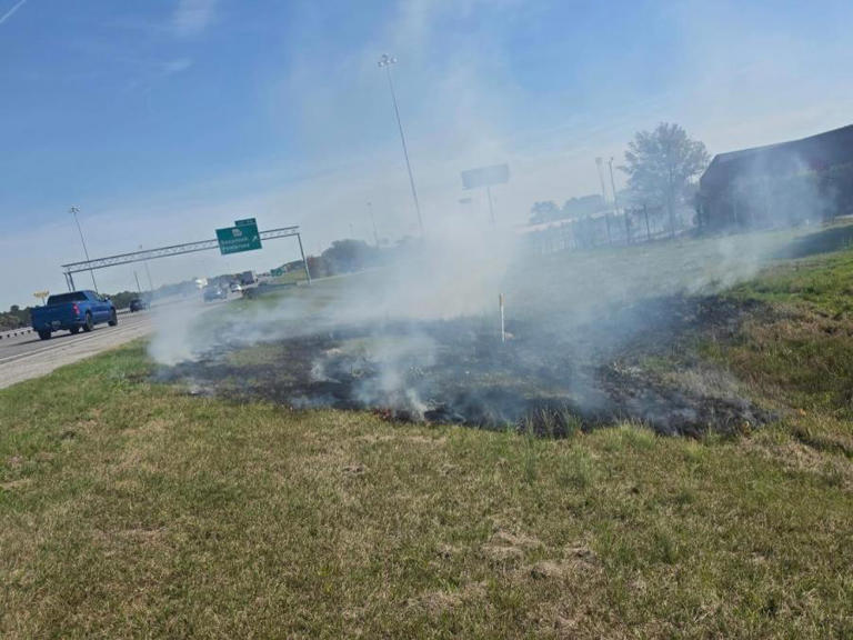Chatham County Fire responds to vegetation fire on I-95