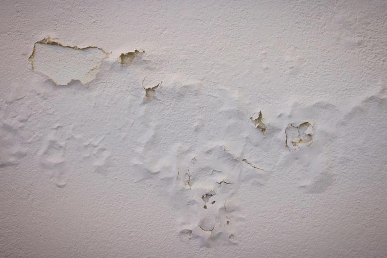 These 5 everyday household habits are quietly causing mould in your home