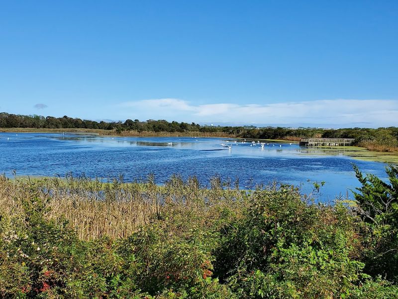 The tranquil New Jersey point where freshwater ponds and coastal dunes ...