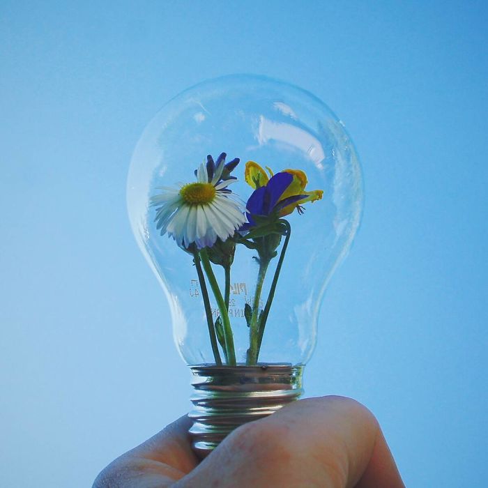 Everyday objects transformed into something else