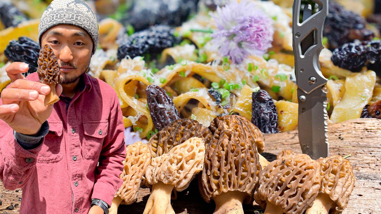 Hunt for elusive morel mushrooms | Morel pasta recipe