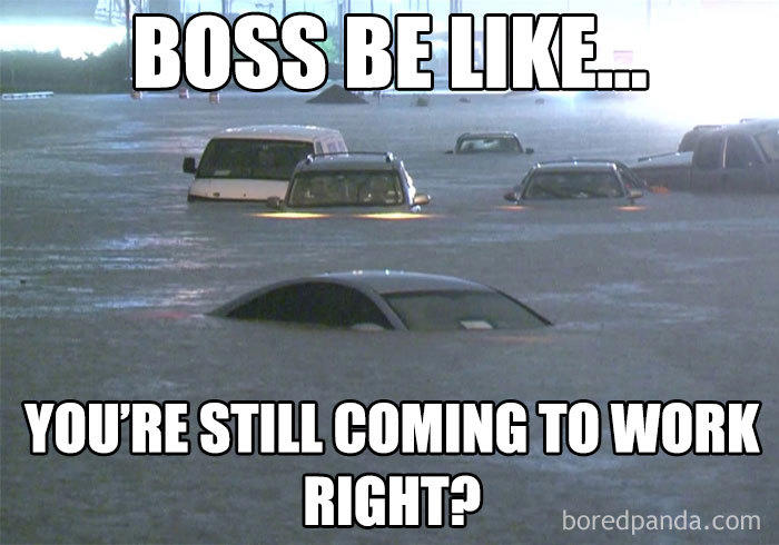 27 funny boss memes to send to your co-workers