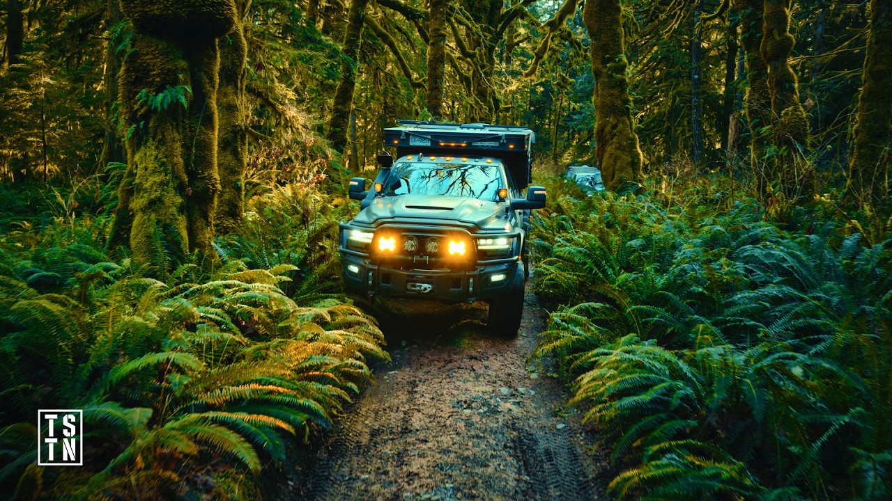 Exploring Vancouver Island’s remote forests