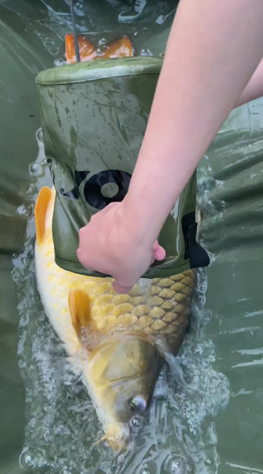 Viral fish video everyone is talking about right now
