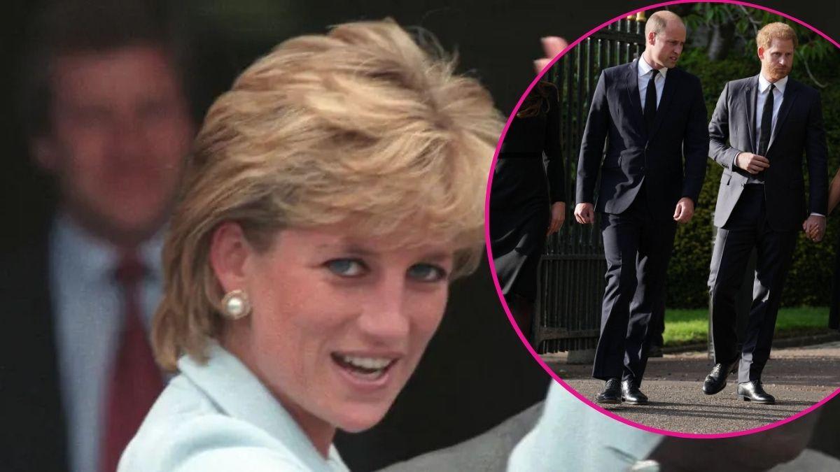 Princess Diana knew 'shy' Prince William didn't want the 'top job' of ...