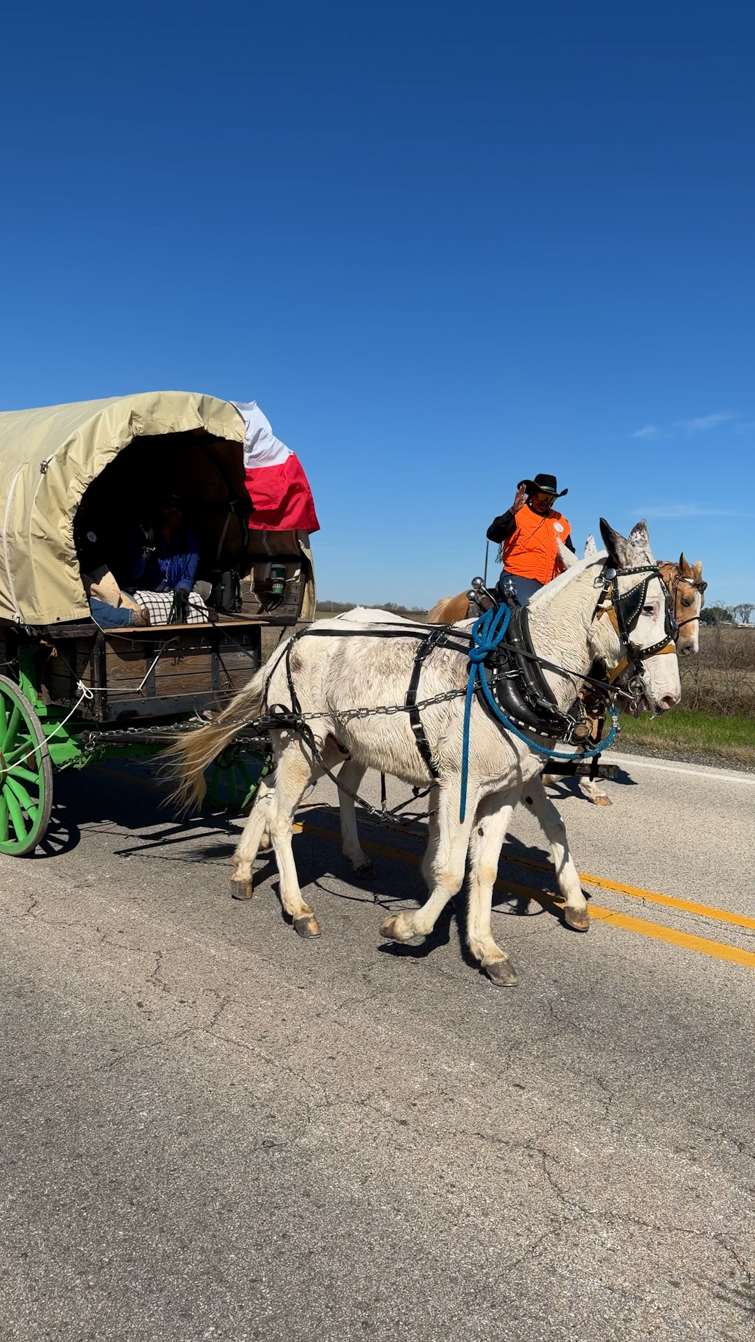 Trail ride wagons
