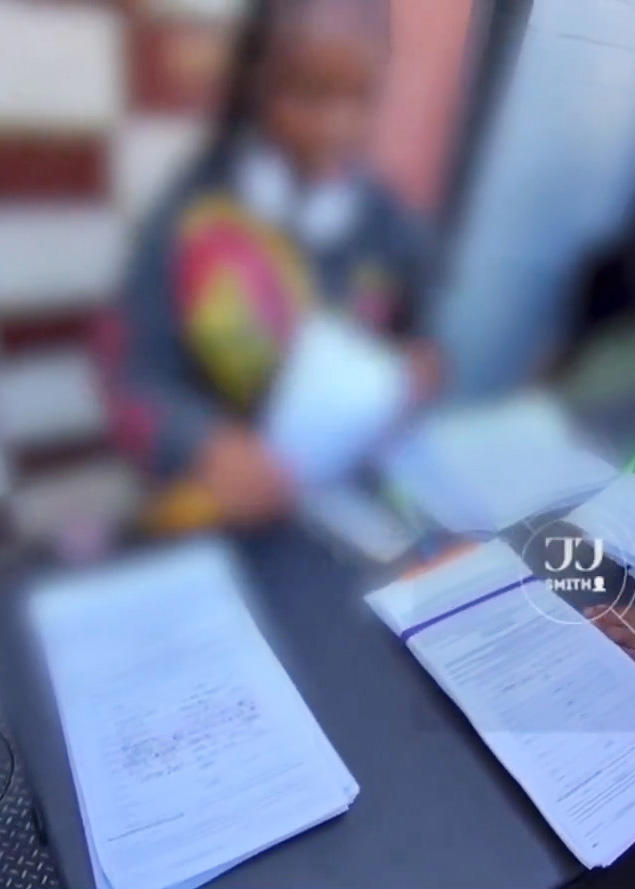 California is investigating apparent San Francisco voter petition fraud ...