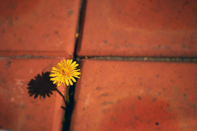 Holding out a little bit of hope