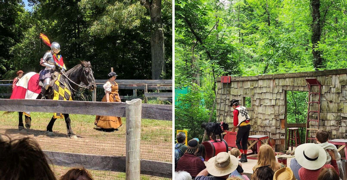 This Virginia fairytale-like fun park has become a haunting forest relic