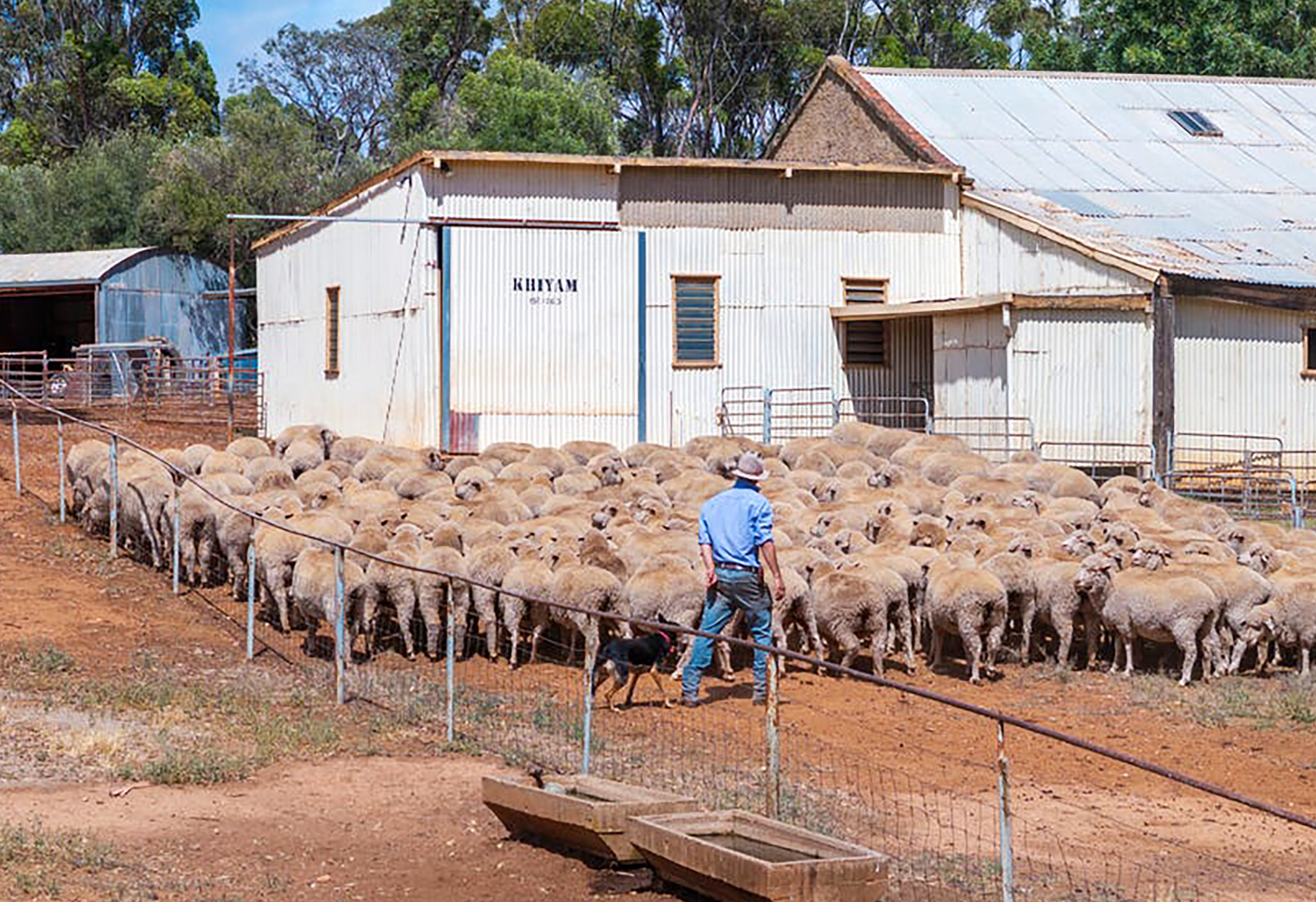 Landmark Kapunda farm off to auction.