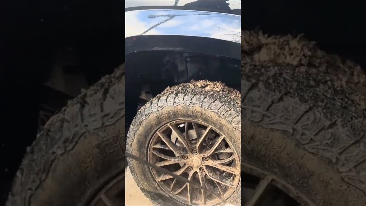 Can this pressure washer bring it back to life?