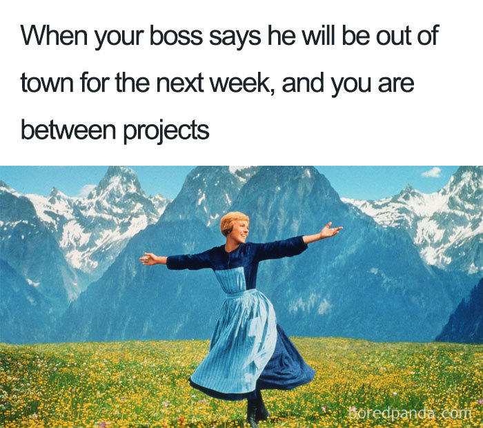 27 funny boss memes to send to your co-workers