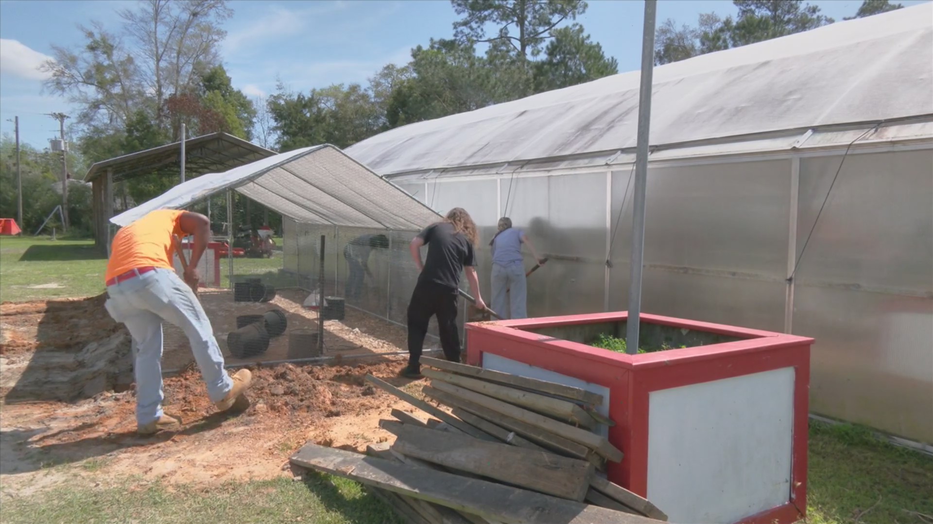 Dog attack kills 26 chickens at Wewahitchka High School