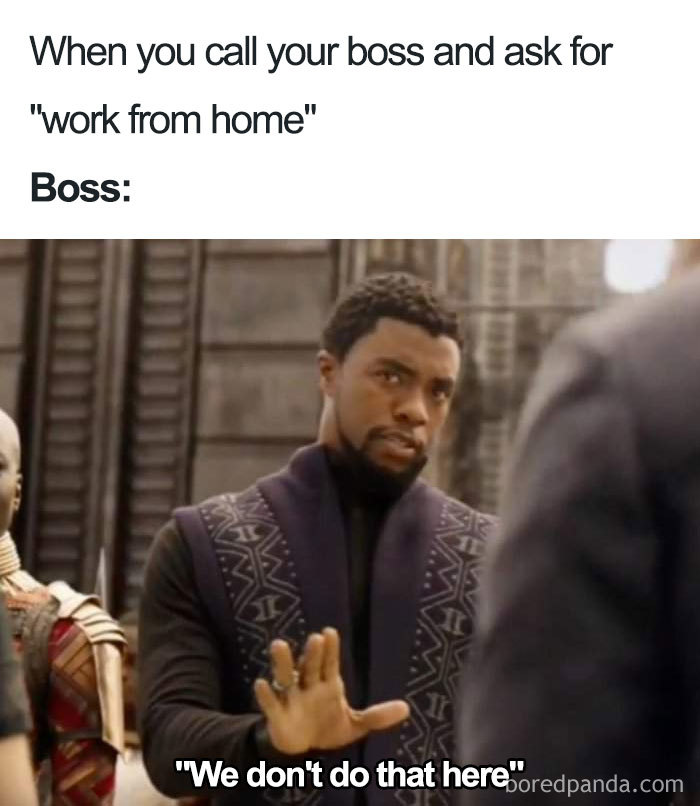 27 funny boss memes to send to your co-workers