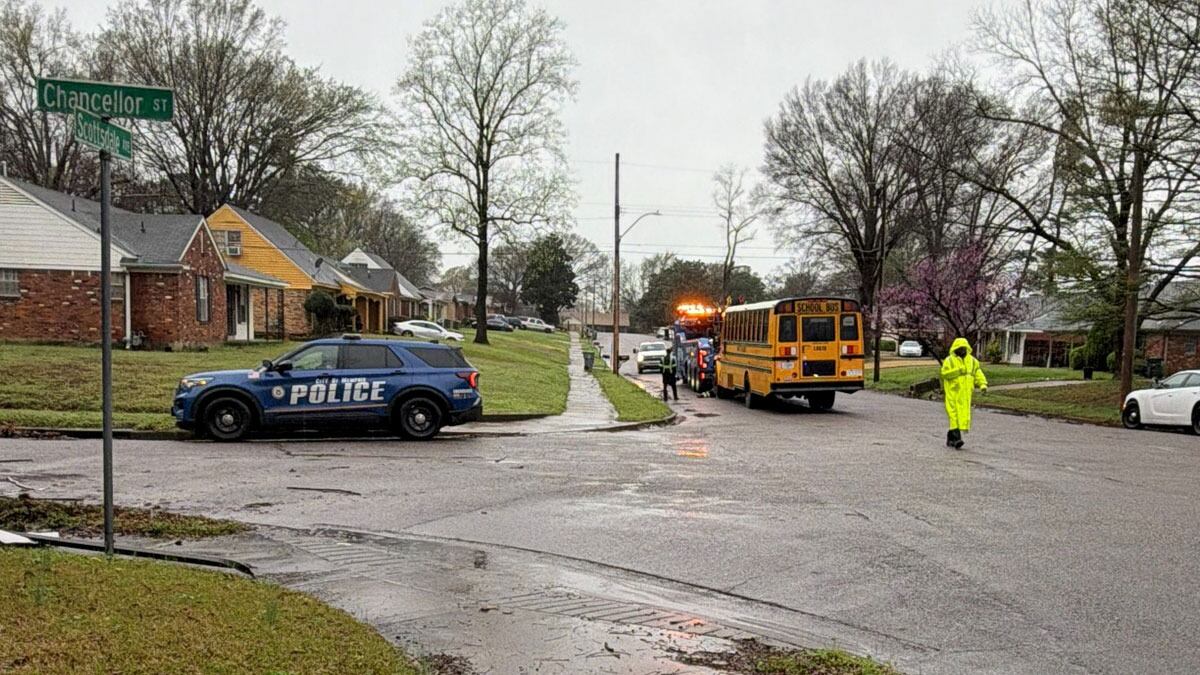 School bus driver on leave after stop-sign violation leads to crash ...