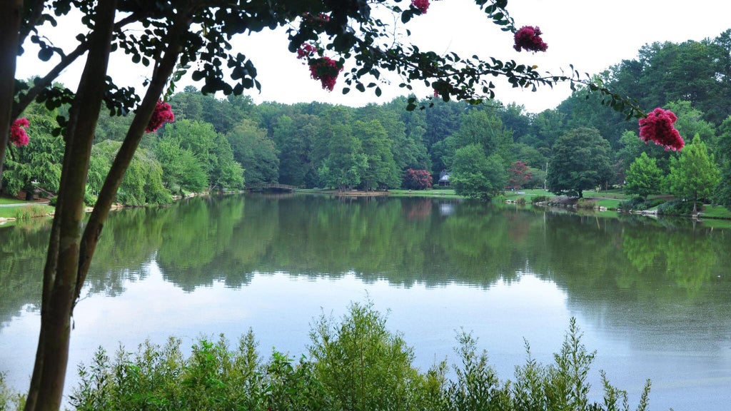 Police investigating decapitated birds found in bags floating on Lake ...