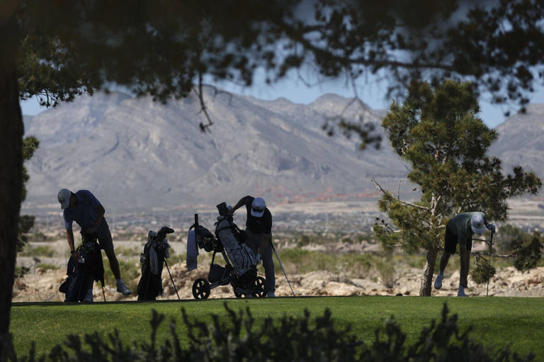 Coronado wins individual, team 5A boys golf match — photos