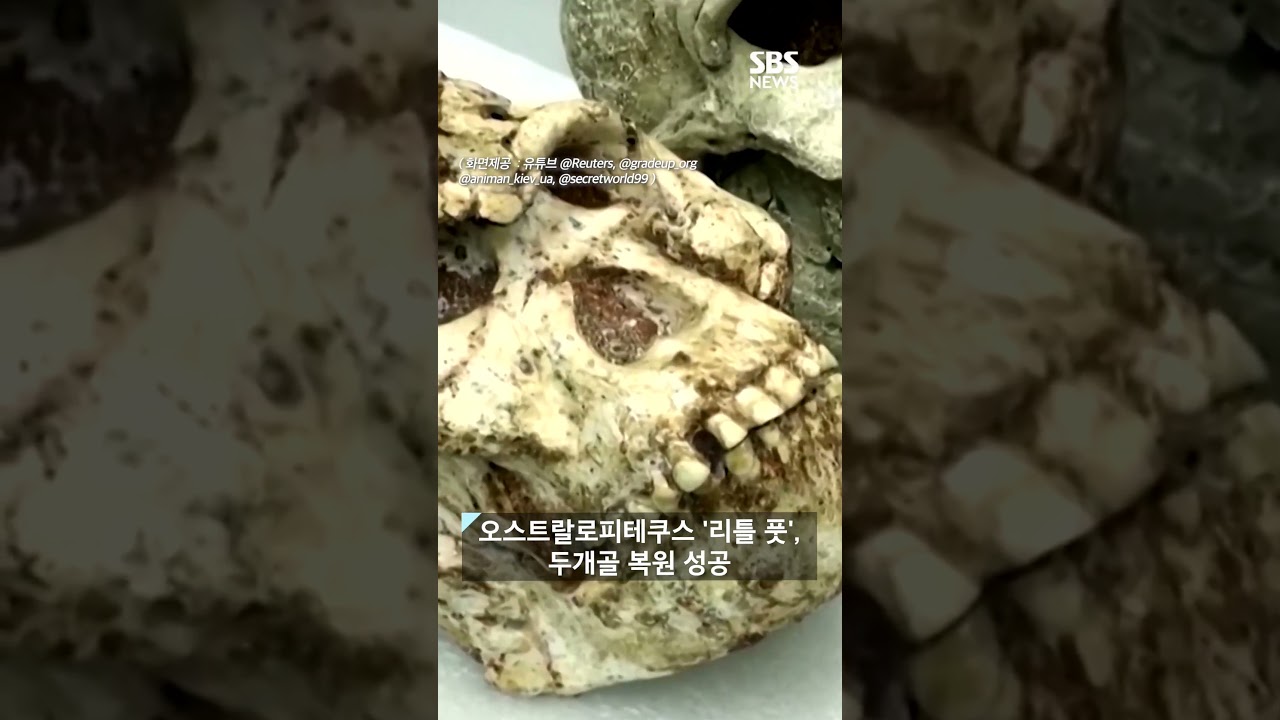 드디어 복원 성공… 무려 370만 년 전 얼굴 #shorts