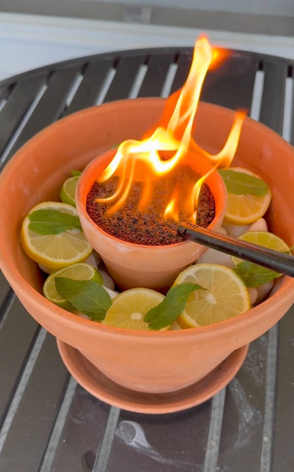 Easy DIY bug repellent for your backyard