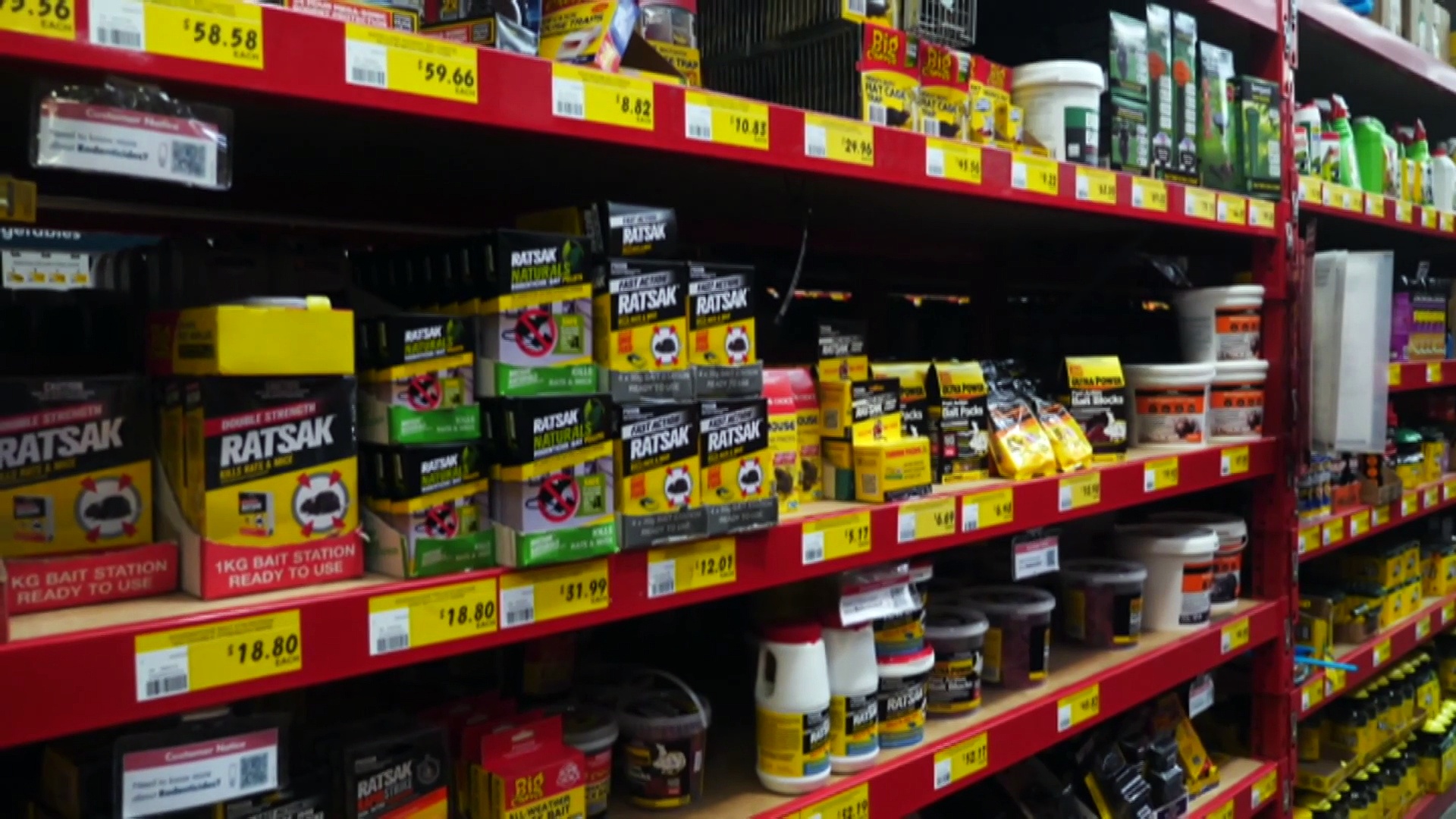 New regulations to be imposed on popular rodent poisons