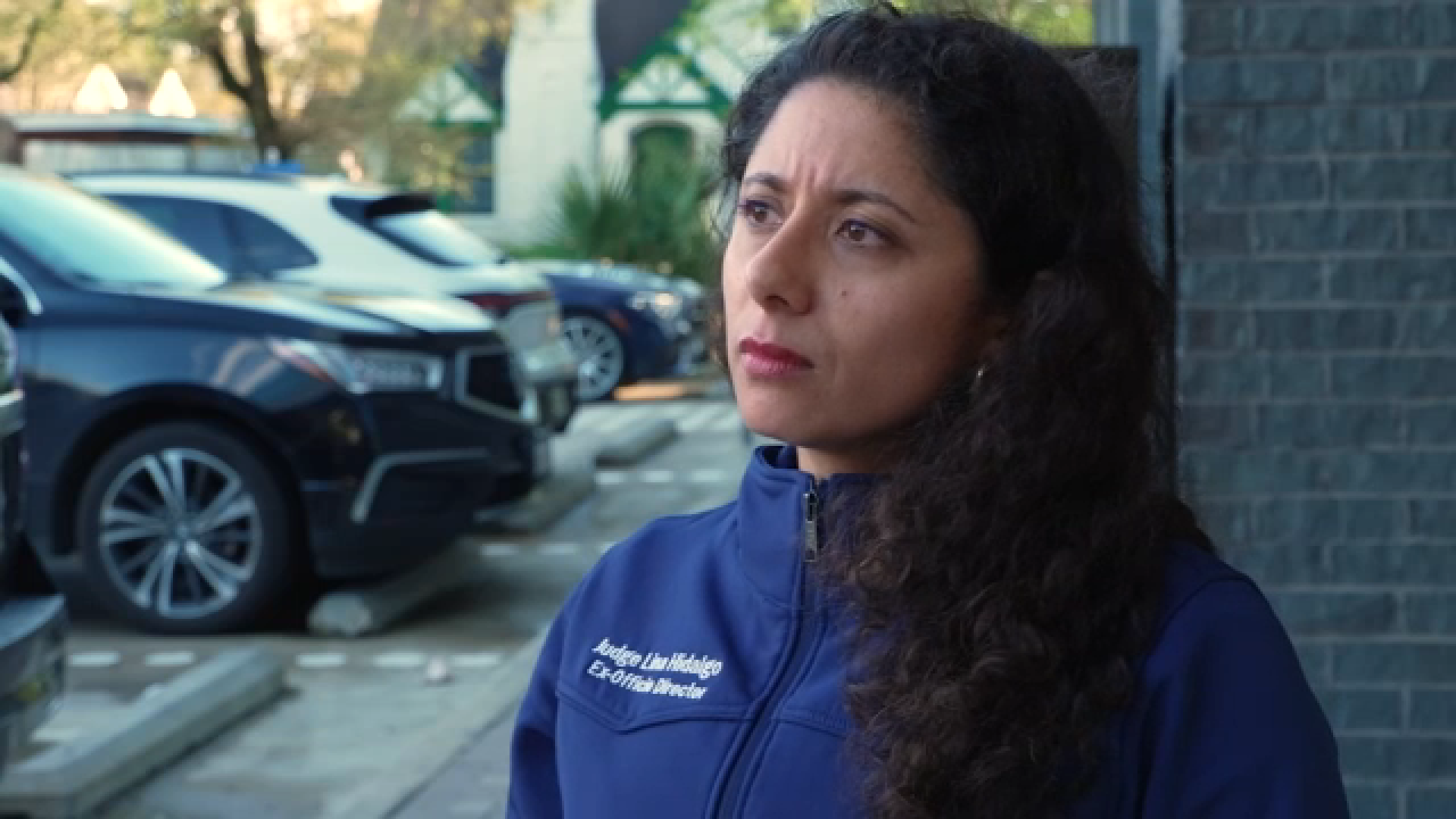 The facts behind Harris County Judge Lina Hidalgo's allegations against ...