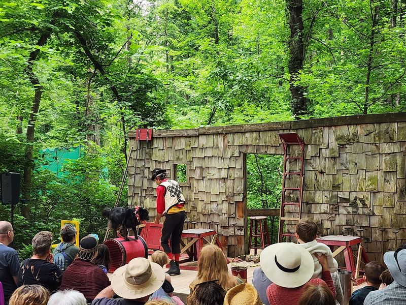 This Virginia fairytale-like fun park has become a haunting forest relic